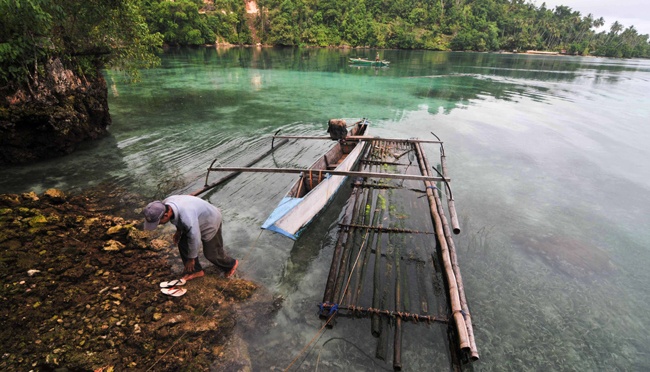 Melihat Keindahan Wisata Bahari di Banggai Kepulauan | tempo.co