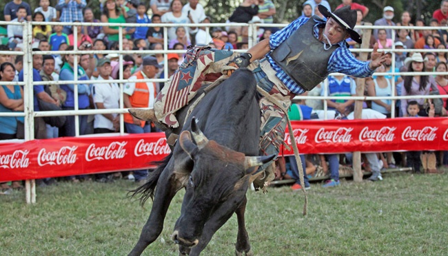 Melihat Aksi Penunggang Rodeo di El Salvador | tempo.co