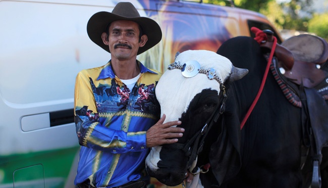 Melihat Aksi Penunggang Rodeo di El Salvador | tempo.co