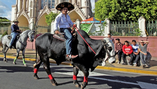 Melihat Aksi Penunggang Rodeo di El Salvador | tempo.co