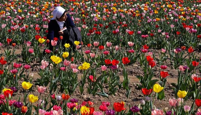 Menikmati Keindahan Taman Bunga Tulip Pertama di Italia | tempo.co