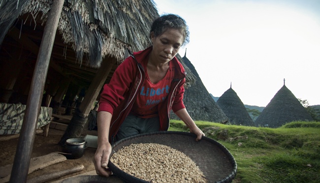 Perjalanan ke Desa Adat Waerebo yang Memiliki Alam Mempesona | tempo.co