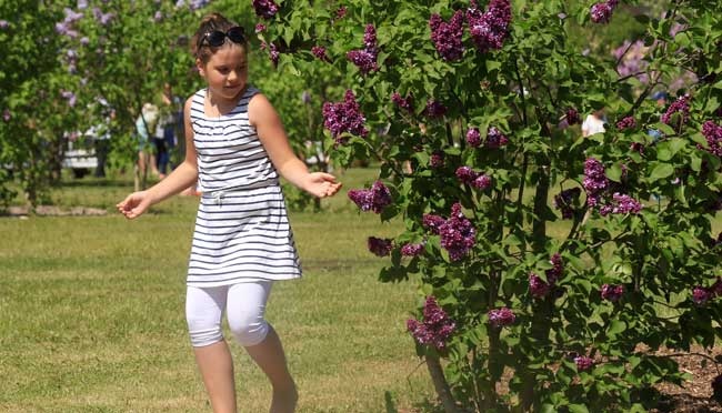 Menikmati Keindahan Bunga Lilac di Taman Terbesar Eropa | tempo.co