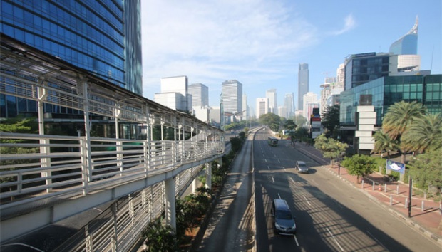 Sandiaga Uno: No Socialization on Imitation Tree to Anies-Sandi - News ...