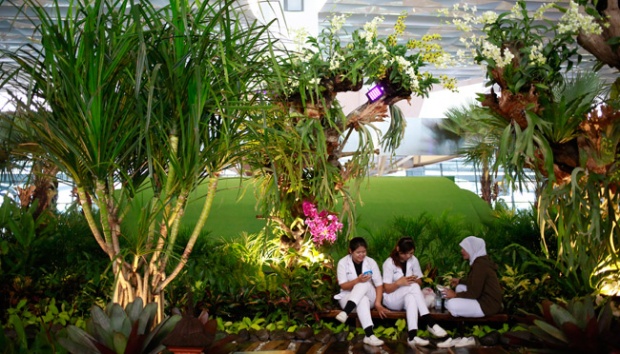 As Indonesia Cuts Forests, Fake Nature Thrives - foto En.tempo.co