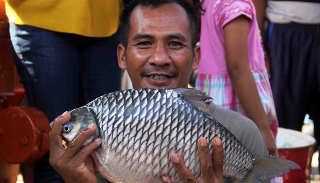 Ribuan Warga Mencari Ikan Saat Pengeringan Kolam PLTA Timo | tempo.co