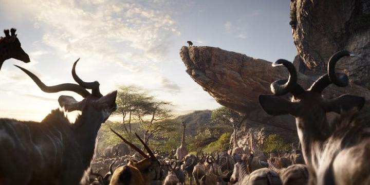 Disney's "Lion King" remake Roars to Life with New Trailer - Life En.tempo.co