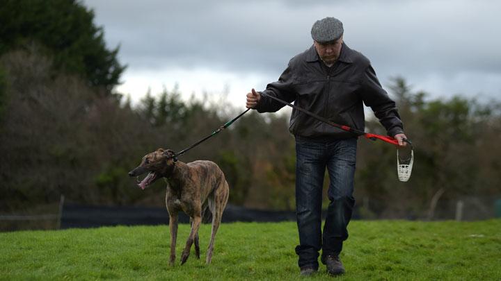 10 Fastest Dog Breeds in the World, Natural Born Speedster - Life En ...