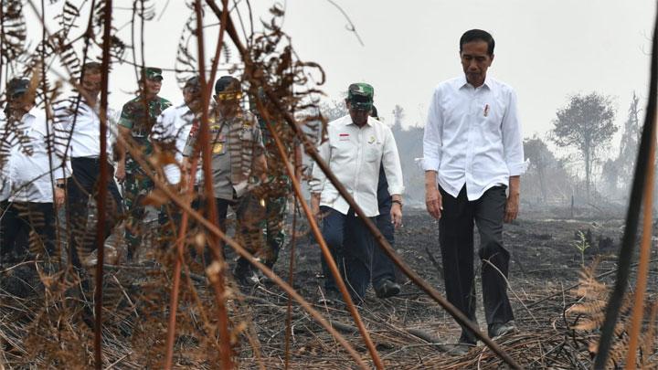 President Warns About Future Forest Fires, Calls For Better Prevention ...