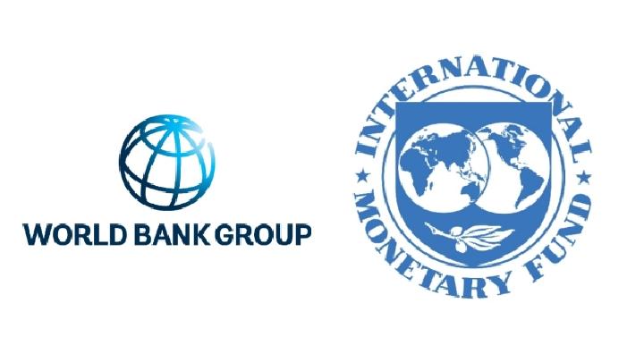 5 Differences Between World Bank and IMF - Life En.tempo.co