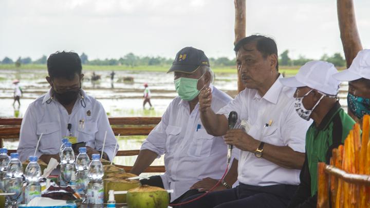 Luhut to Limit Purchase of Conventional Cars to Boost EV Use; Expert ...