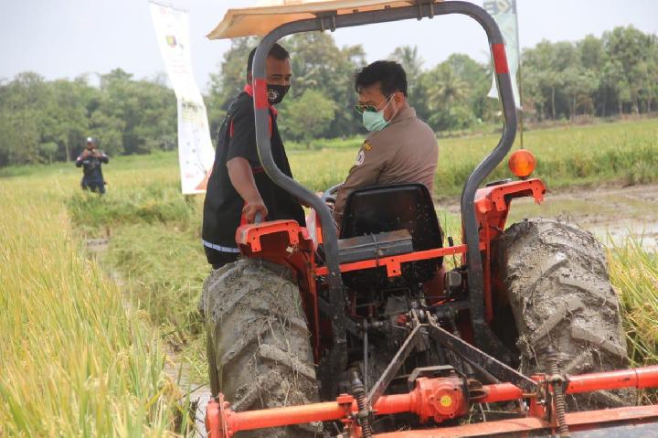 Alsintan Terbukti Tingkatkan Produktivitas Petani Banyuwangi | tempo.co