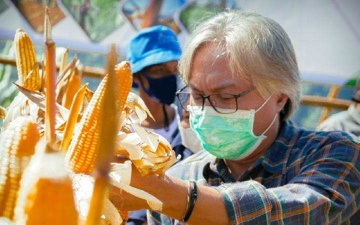 Petani Milenial Jabar Cetak Komoditas Tanaman Hias Juara | tempo.co