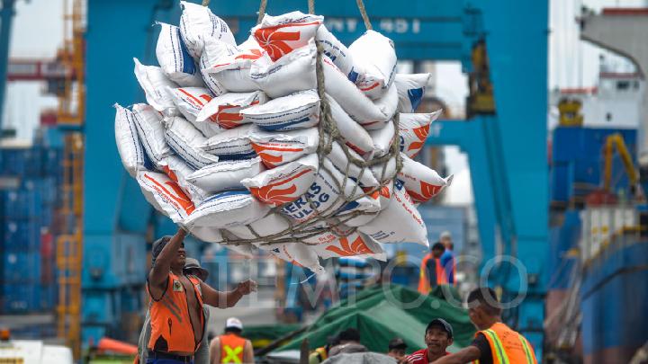 Dissecting the Dilemma Behind Govt's Rice Import Policy - News En.tempo.co
