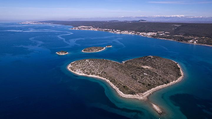 New Fish Invade the Adriatic Sea, Threatening Local Species ...