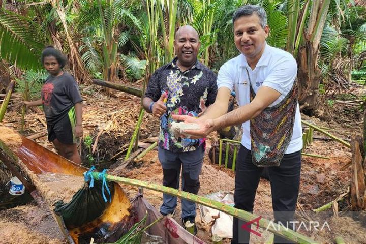 FAO Spotlights Importance of Forests and Efforts to Protect Them ...