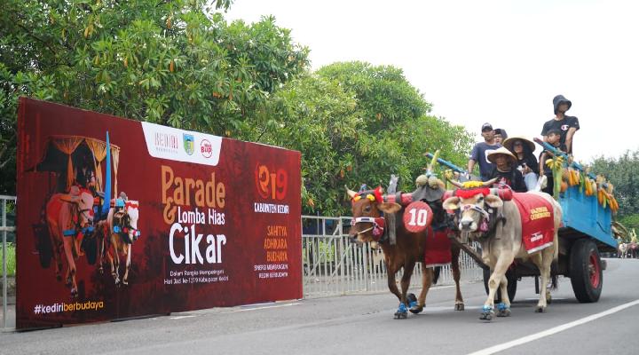 Mas Dhito Kembali Populerkan Alat Transportasi Cikar | tempo.co