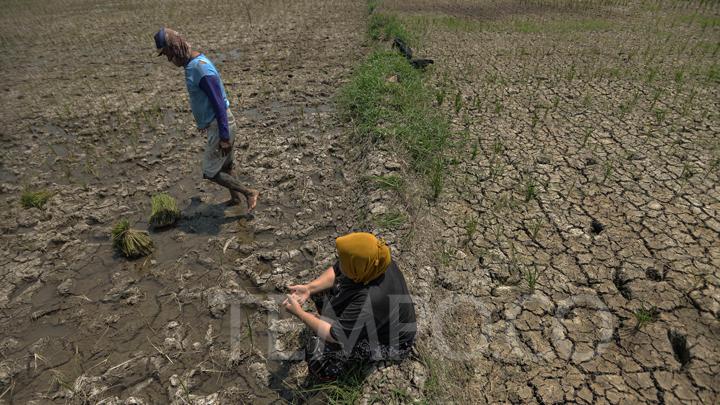 Bekasi Assures Continuous Water Supply in Drought-stricken Villages ...