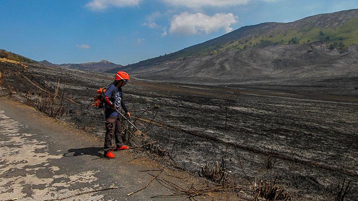 Bromo Ecosystem Recovery Will Take 5 Years After Fire - Sci En.tempo.co