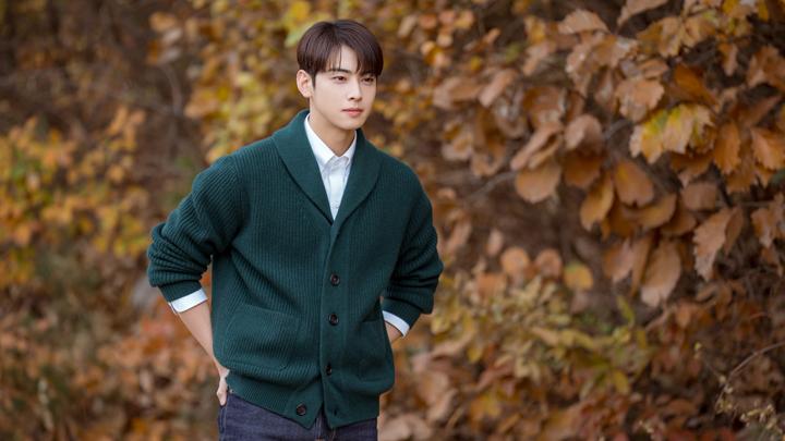 4 Karakter Webtoon Ini yang Pernah Diperankan Cha Eun Woo, Siapa Tokoh ...