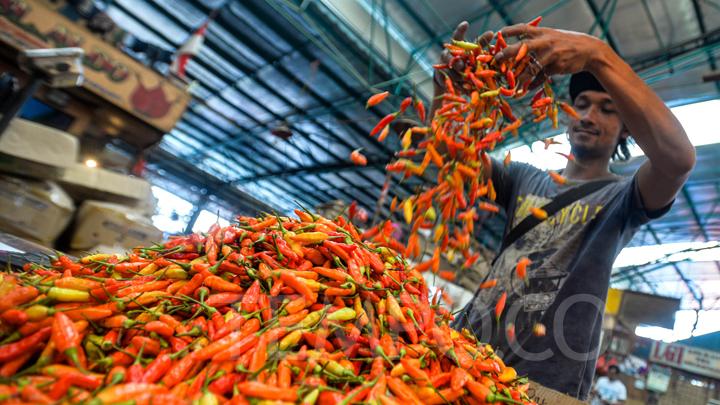 Chili Prices Soar to Rp144,000 per Kg Ahead of New Year - News En.tempo.co