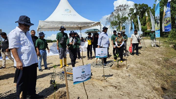 Sinar Mas Land Hadirkan Program Hutan Mangrove | tempo.co