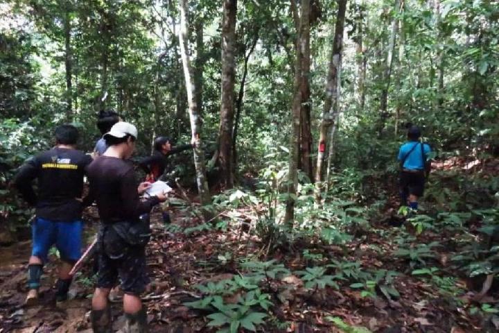 Guardians of Lungs of the Planet Earth from Indonesia's East Kalimantan - Environment En.tempo.co