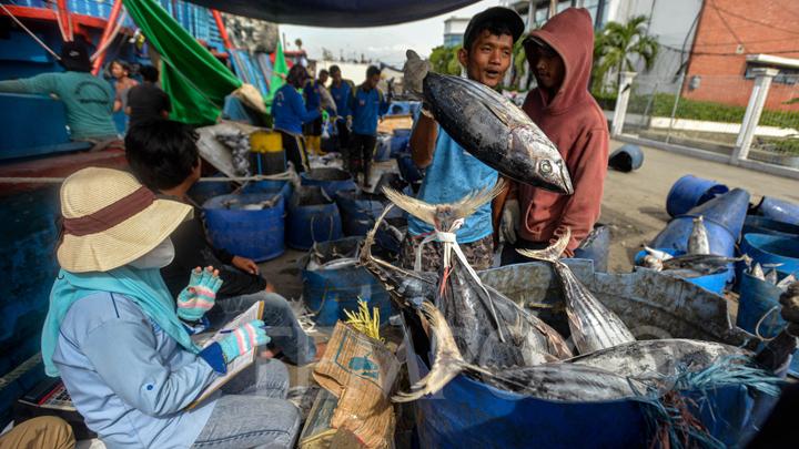 Maritime Affairs Minister Ready to Supply Fish if Free Lunch Program ...