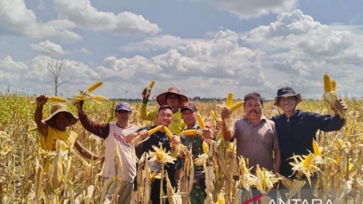 The Problem with Our Food Estate Program - Opinion En.tempo.co