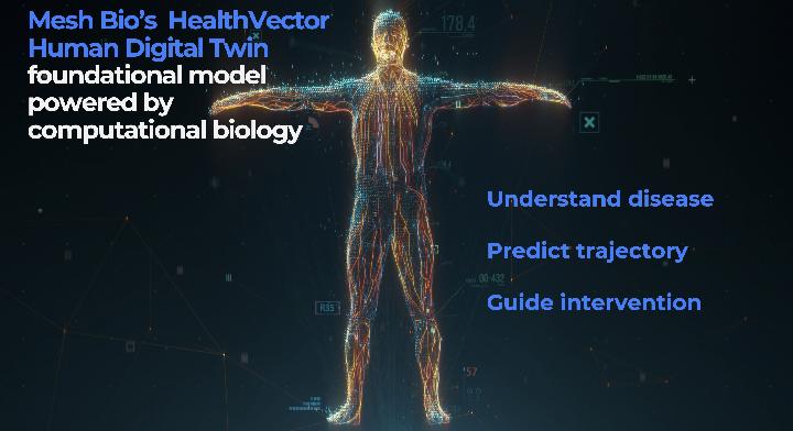 Mesh Bio Raises US$3.5mn of Series A Funding to Make Digital Twin ...