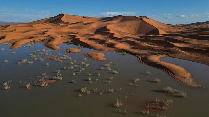 Sahara Flood: A Blessing or Disaster? Here's the Explanation - En.tempo.co