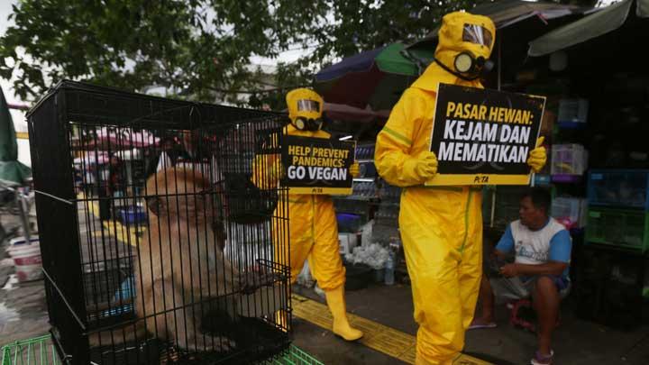 PETA Activist Protest Against Live-animal Markets at Jatinegara - foto ...