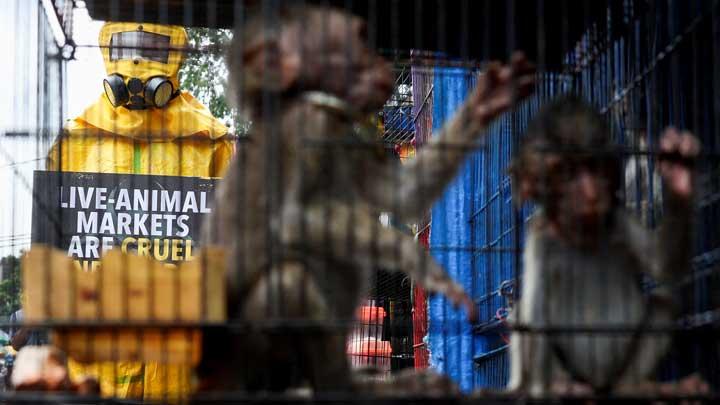 PETA Activist Protest Against Live-animal Markets at Jatinegara - foto ...