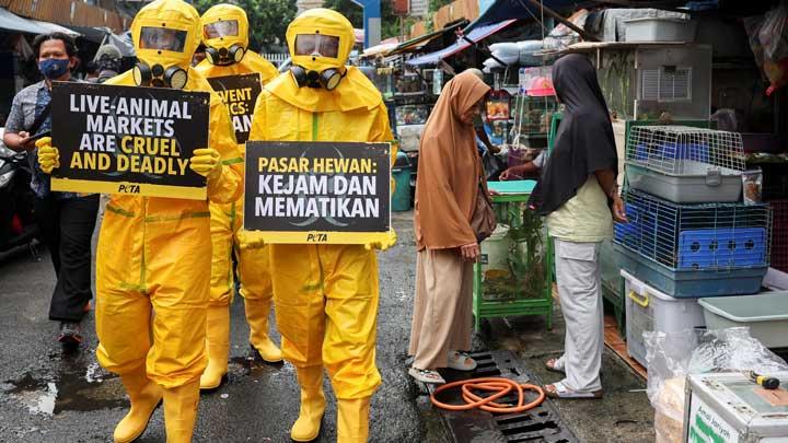PETA Activist Protest Against Live-animal Markets at Jatinegara - foto ...