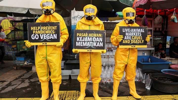 PETA Activist Protest Against Live-animal Markets at Jatinegara - foto ...