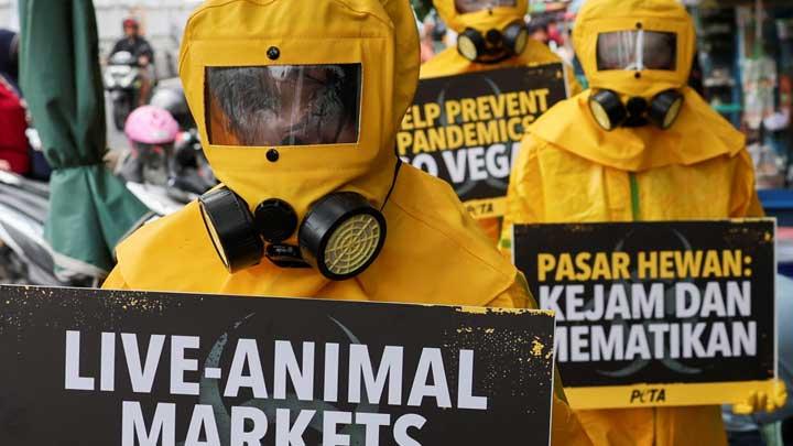 PETA Activist Protest Against Live-animal Markets at Jatinegara - foto ...