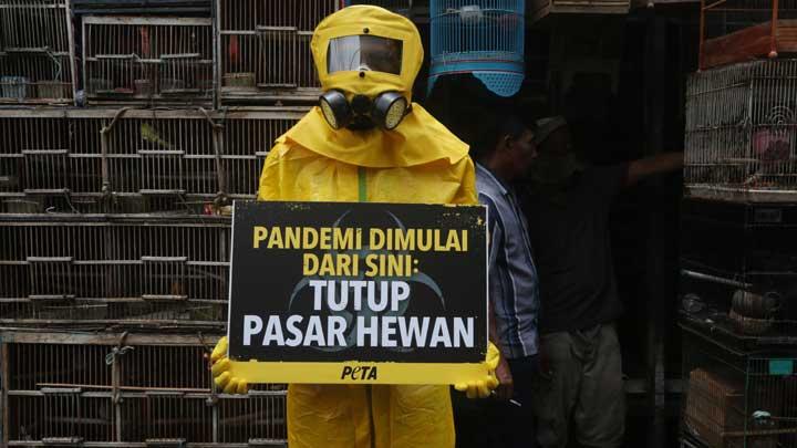 PETA Activist Protest Against Live-animal Markets at Jatinegara - foto ...