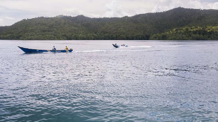 BREAKING NEWS: KLH Segel 4 Tambang Nikel di Raja Ampat | tempo.co