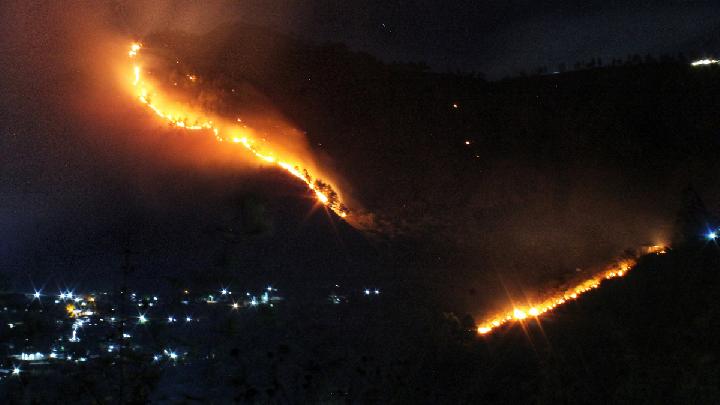 4 Kebakaran Hutan Terparah yang Pernah Terjadi di Indonesia | tempo.co