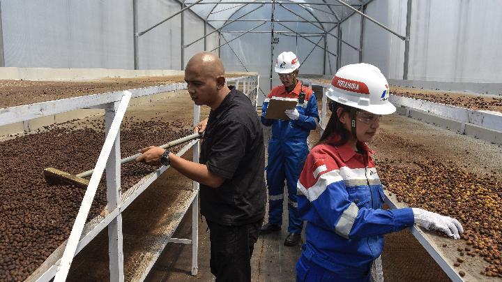 Pengeringan Kopi dengan Manfaatkan Teknologi Geothermal Dry House ...
