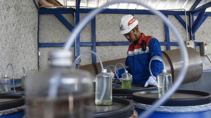 Pengeringan Kopi dengan Manfaatkan Teknologi Geothermal Dry House ...