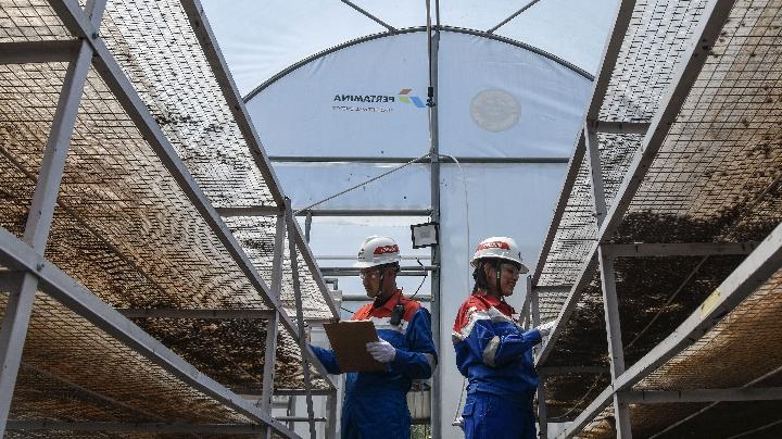 Pengeringan Kopi dengan Manfaatkan Teknologi Geothermal Dry House ...