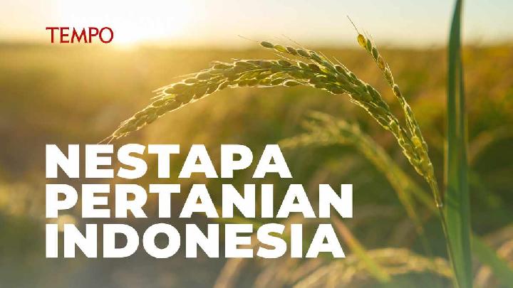 Rata-Rata Usia Penduduk Indonesia | tempo.co