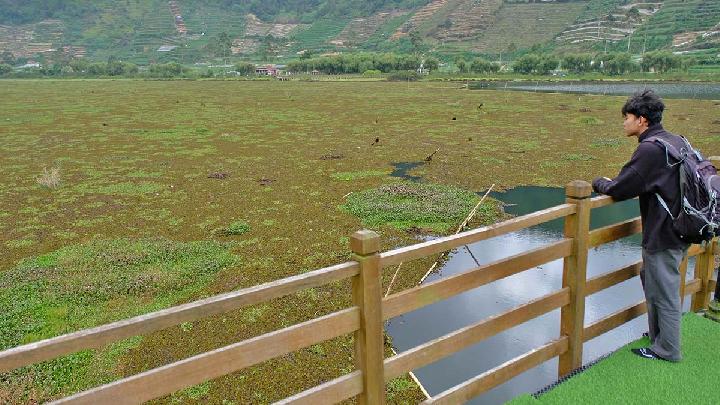 Evolusi Telaga Merdada, Dari Pesona Terbuka hinggaTertutup Gulma | tempo.co