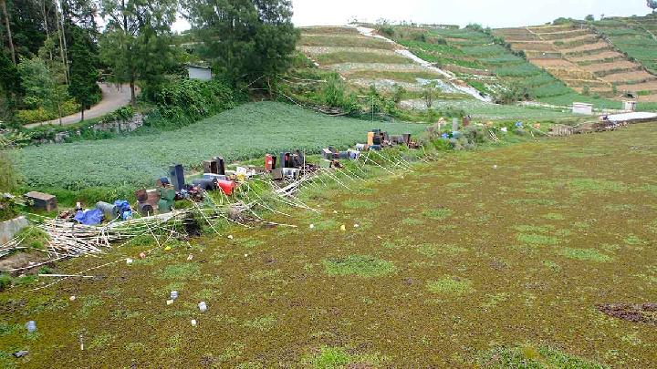 Evolusi Telaga Merdada, Dari Pesona Terbuka hinggaTertutup Gulma | tempo.co