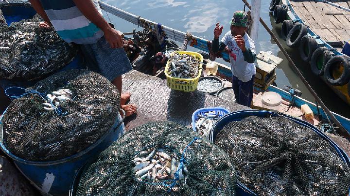 Kesatuan Nelayan Tradisional Indonesia Mengusulkan Stabilisasi Harga ...