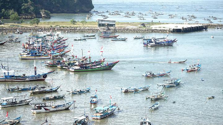 Kesatuan Nelayan Tradisional Indonesia Mengusulkan Stabilisasi Harga ...