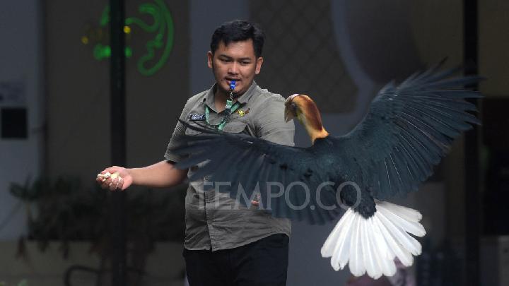 Tutup Sejak Agustus, Bandung Zoo Kembali Dibuka Terbatas | tempo.co