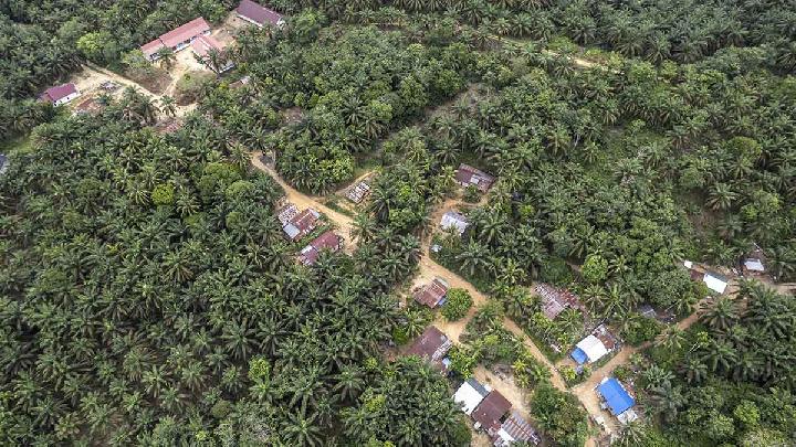 Isolated Village in Batang Hari Regency - foto En.tempo.co