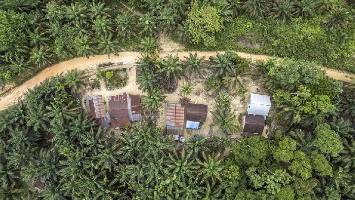 Isolated Village in Batang Hari Regency - foto En.tempo.co